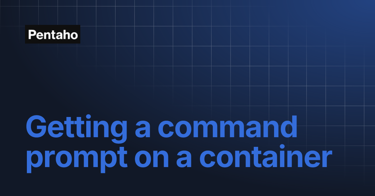 Getting a command prompt on a container | Pentaho